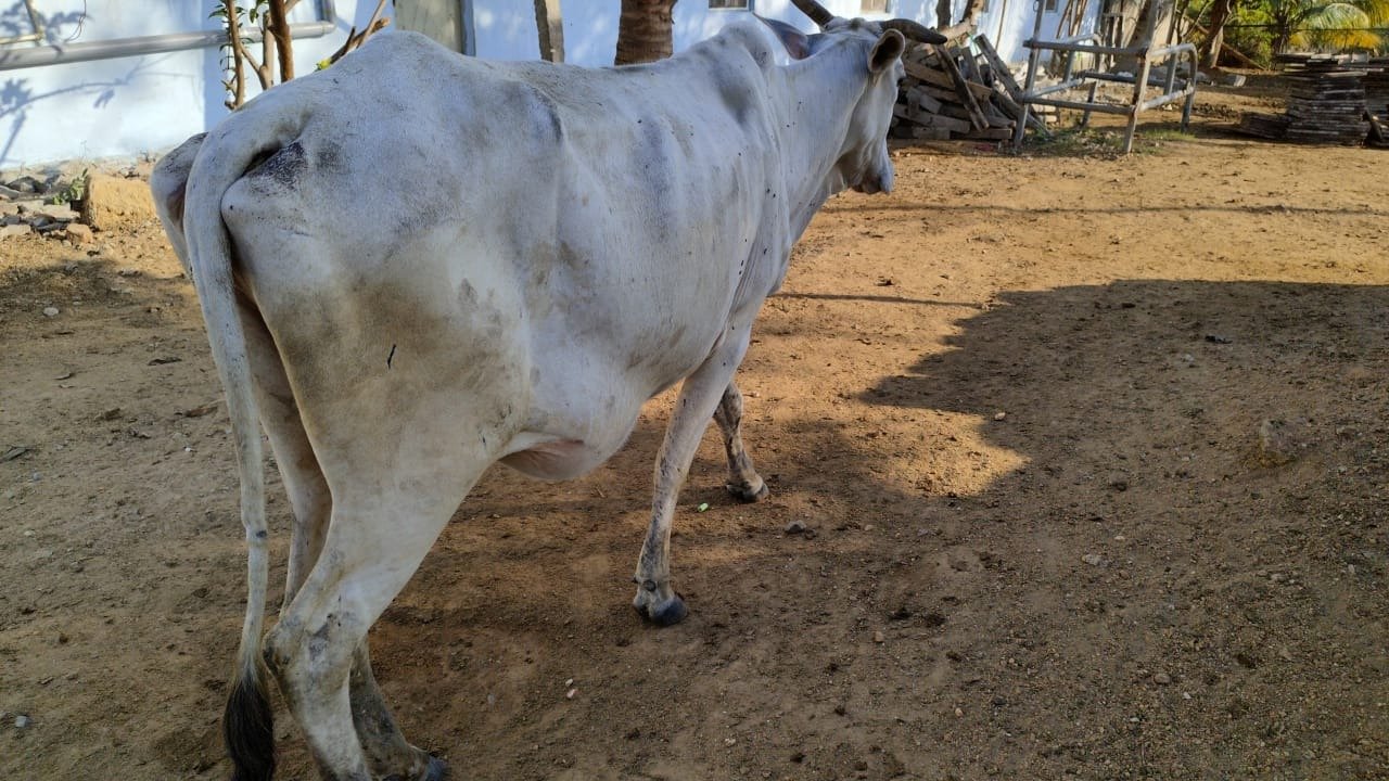 Go mathre namaha (… Gurumurthy Gunanidhi Gomatha Guha janmabhuhu ...